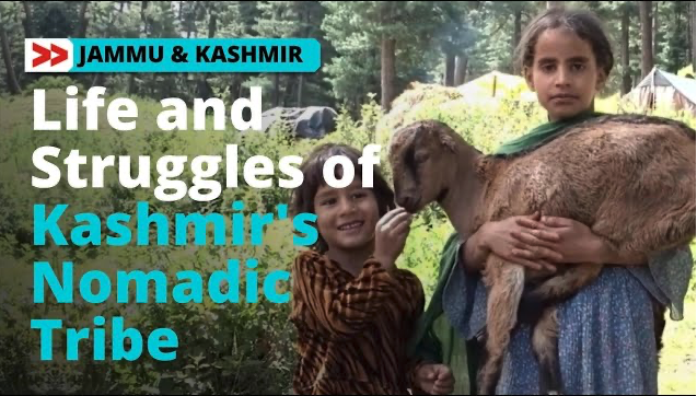 Journey of the Bakarwal: Life and Struggles of Kashmir's Nomadic Tribe ...
